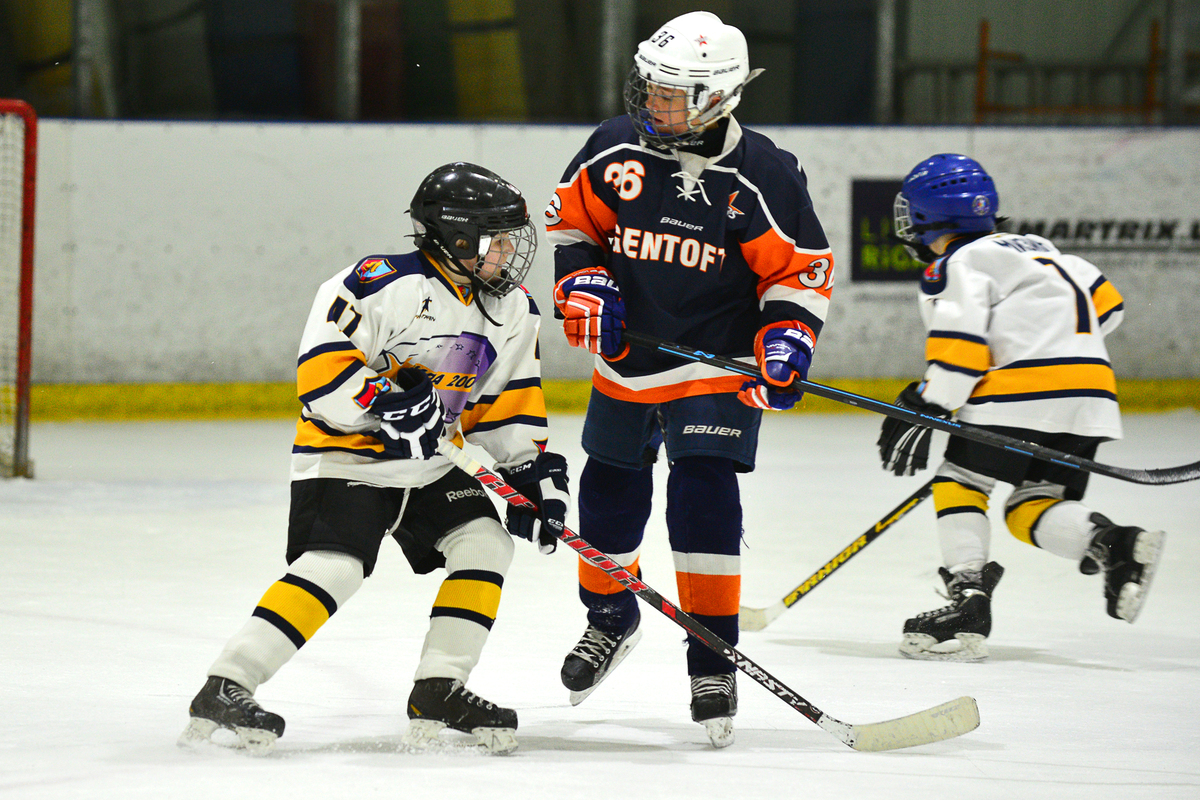 Gentofte Stars U12 - Gentofte Stars - Stjernernes ishockeyklub
