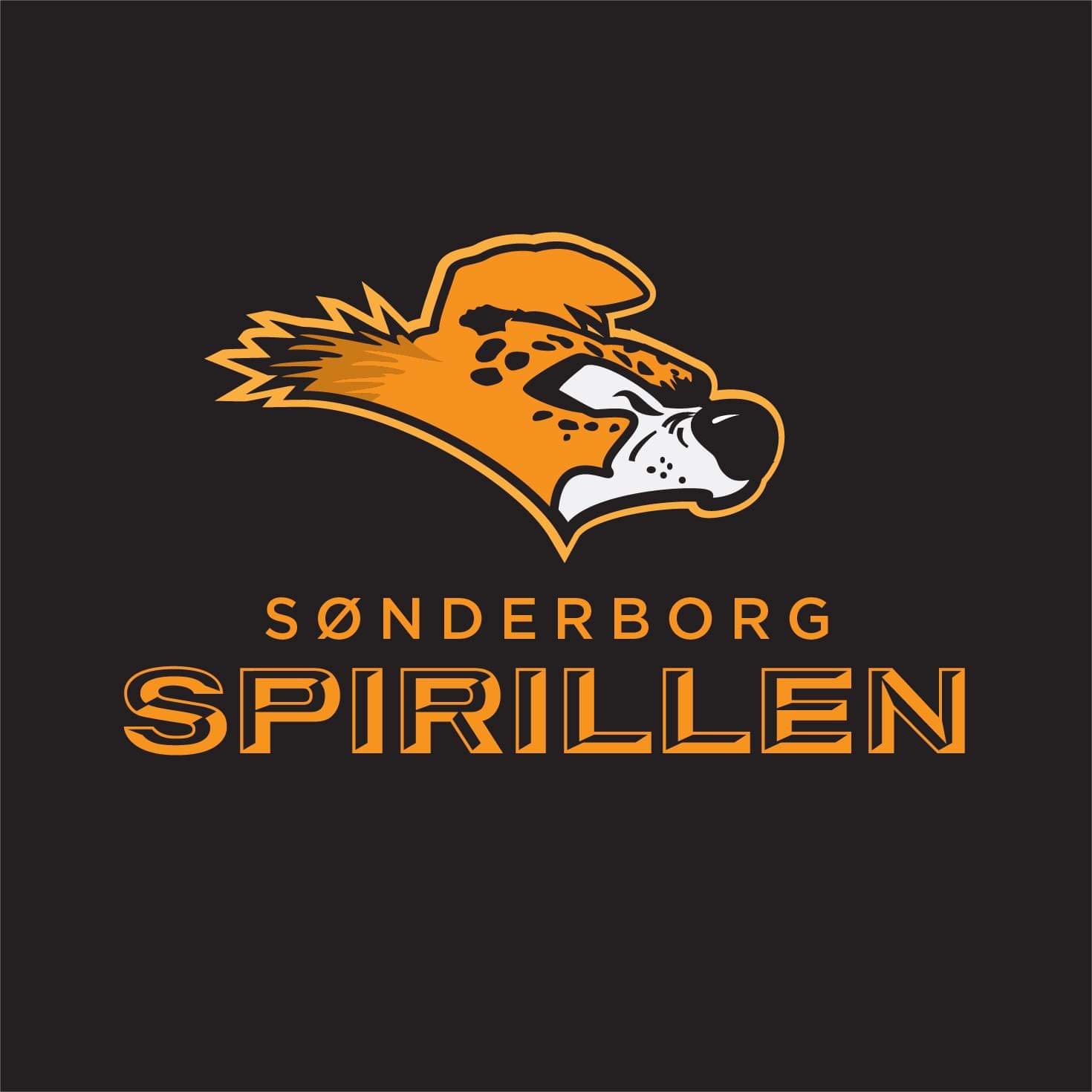 Galleri - Spirillen BK