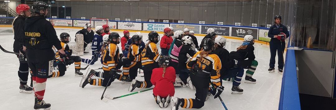 UNITED - Herlev Ishockey Klub
